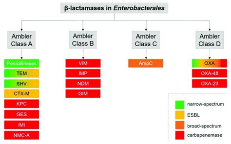 Dr Malavika Nair On Linkedin 🟥ambler Classification Of Beta Lactamases🟥