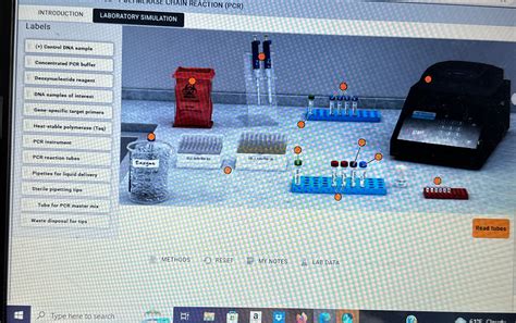 Solved Merase Chain Reaction Pcrintroductionlaboratory