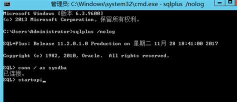 windows系统崩溃后快速恢复oracle数据库的妙招 csdn博客