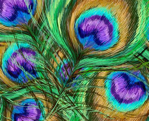 Peacock Feathers Illustration Stock Illustration Illustration Of