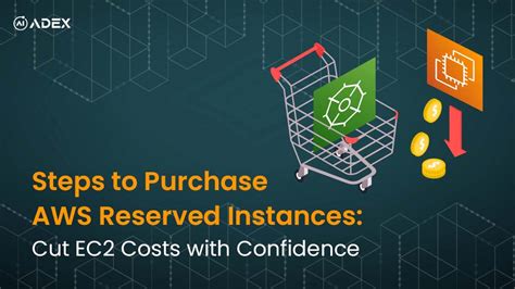 How To Deploy Deepseek R1 Locally With Ollama And Open Webui