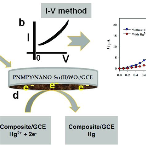 Scheme 1 Schematic Representation Of Mercury Detection With Download Scientific Diagram