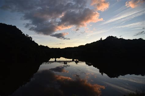 About Terence Tsang Medium