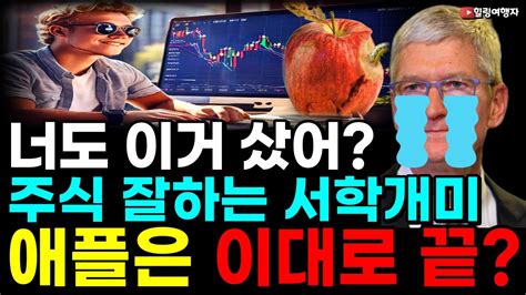 힐링여행자 투자 이야기 서학개미가 투자를 이렇게 잘했다고 서학개미 주식투자 금액 사상 최대 끝없이 늘어가는 투자 열풍의 이유는 1등 주식 애플 이대로 끝