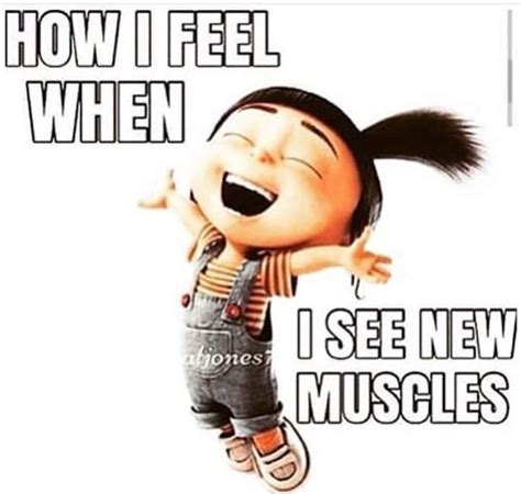 Gym Rat Workout Humor Fitness Motivation Quotes Workout Memes