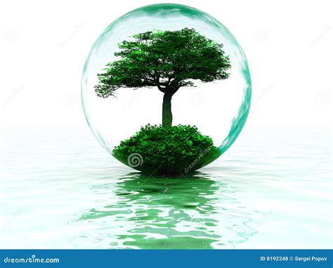Bubble With Tree Stock Illustration Illustration Of Shiny