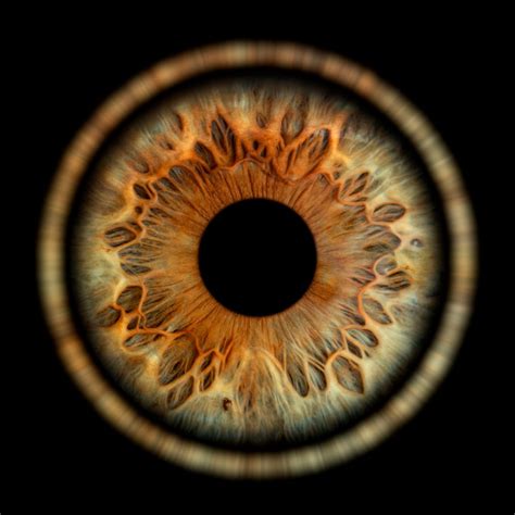 Iris Colors Fotograf A Del Iris Madrid