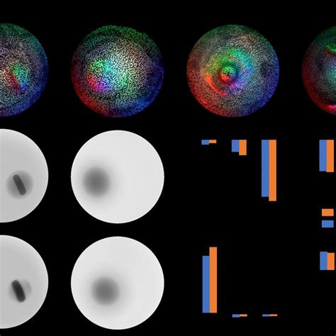 Shape And Force Reconstruction Performance Examples From Test Set For Download Scientific