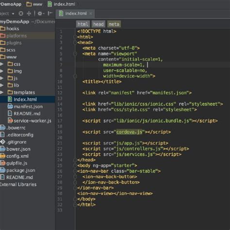 Figure A3 Ionic Project Indexhtml File Download Scientific Diagram