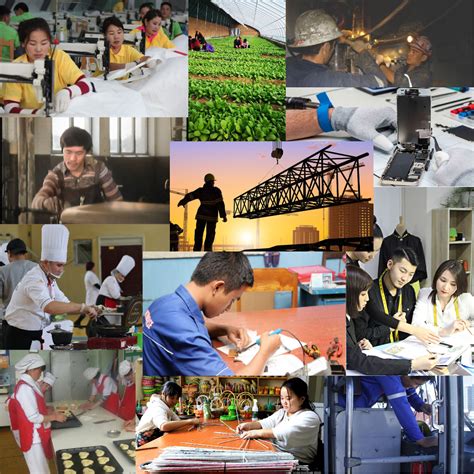 Мэргэжил олгох түр сургалт залуучуудын хөдөлмөр эрхлэлтийг нэмэгдүүлдэг үү — Nrcc