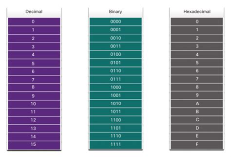 Ethernet MAC Address Flashcards Quizlet