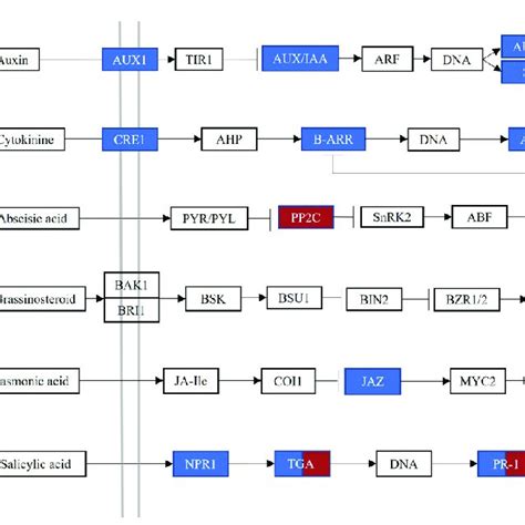 Degs Related To Plant Hormone Signal Transduction A Heatmap Of Degs