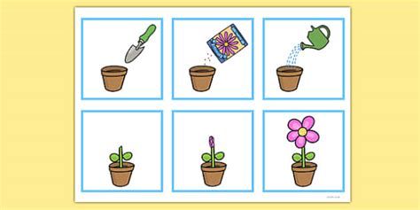 6 Step Sequencing Growing A Flower