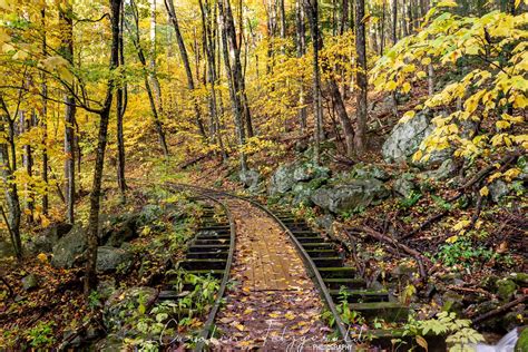 The Old Logging Railroad Caroline Fitzgerald Photography