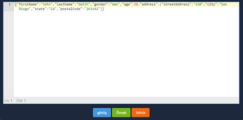 json görüntüleyici online json dosyası okuma moryconvert
