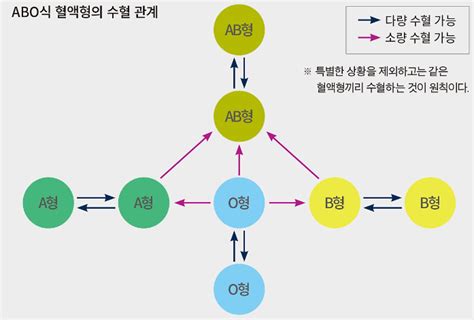 같은 혈액형들끼리만 수혈할 수 있는 이유는 무엇일까喝 썰리