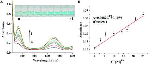 Sensitivity Of Mirna Detection A The Photographs Inset And Uv Vis Download Scientific