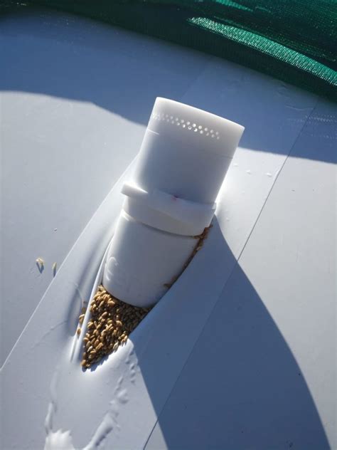 Keeping Grain Safe In Sealed Storage Latest Techniques Centaur