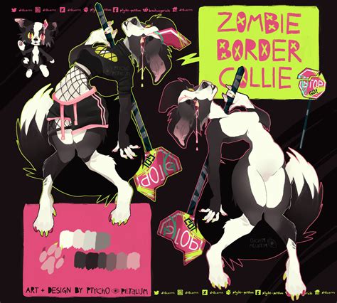 Zombie Border Collie Art By Ptycho Petalum Dracerrn Me Rfurry