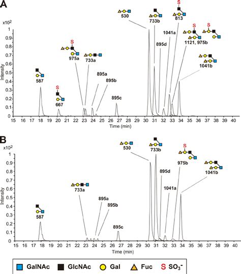 LC ESI MS Analysis Of The Oligosaccharides On Colonic Mucins LC ESI MS Download Scientific