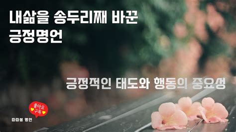 긍정적인 태도와 행동의 중요성 Youtube