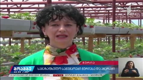 სასოფლო სამეურნეო სამუშაოები სიუჟეტი Youtube