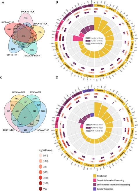 Venn Diagram Of The Comparison Groups A Lists Of Statistically