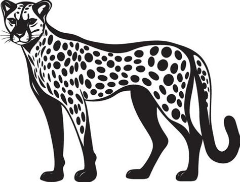 Cheetah Outline Vector Art Icons And Graphics For Free Download