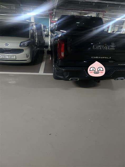 주차를 이따구로 하고 욕까지 하는데 대응 방법있을까요 자동차 에펨코리아