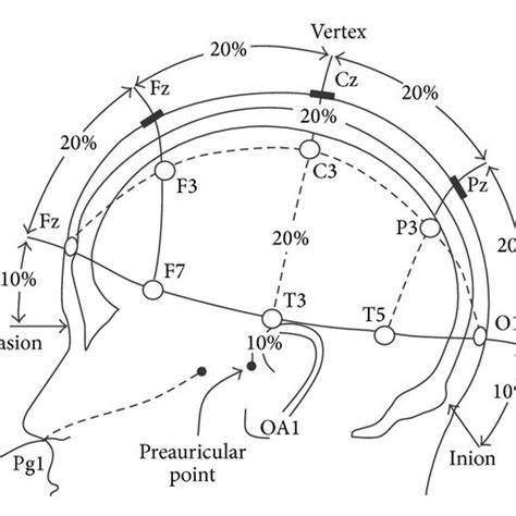 The 10 20 Eeg Electrodes Placement System A And B Download Scientific Diagram