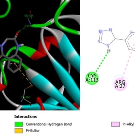 Binding Interactions Of Compound 15 With The Active Sites Amino Acid