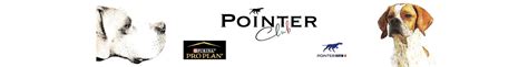 Adhésion 2025 Pointer Club Français
