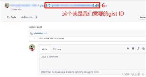 Vscode配置 Github的gist 同步设置和插件vscode Github插件 Csdn博客