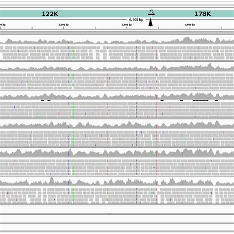 Sequence Identity Matrix Showing The Sequence Identity On 0 1 Scale
