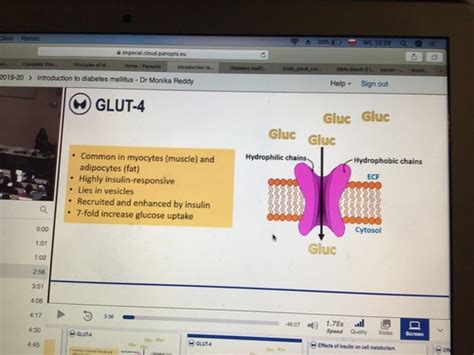 Diabetes Tutorial Introduction To Diabetes Flashcards Quizlet