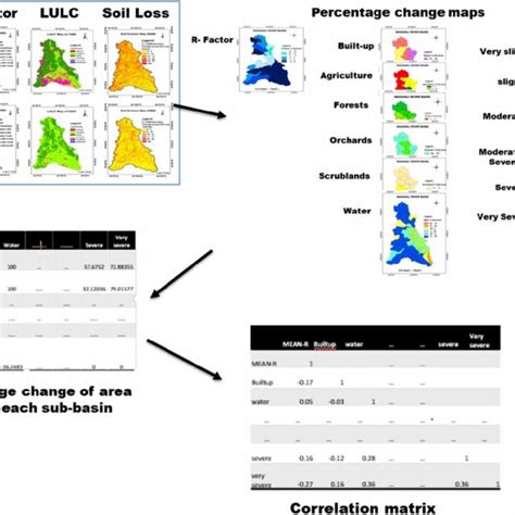 Schematic For The Spatial Correlation Analysis Download Scientific