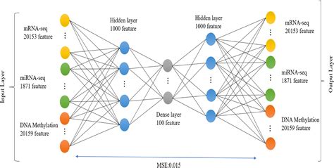 A Deep Learning Based Framework For Predicting Survival Associated