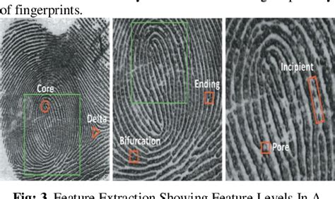 Figure 3 From Implementation Of Latent Fingerprint Matching System Semantic Scholar
