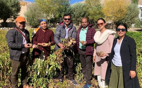 Tribal Farmers Of Leh District Adopting Icar Cpri Improved Potato