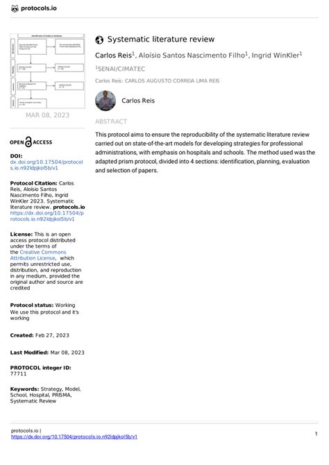 Pdf Systematic Literature Review V1