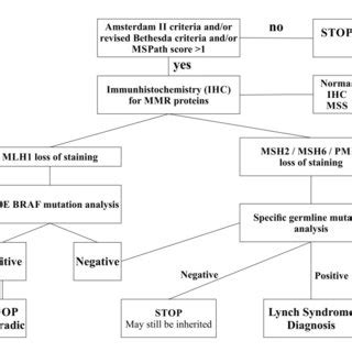 Suggested Algorithm For Molecular And Genetic Testing For Lynch Download Scientific Diagram