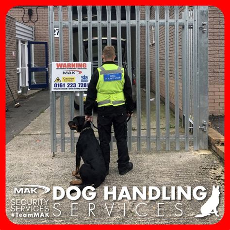 Basit Hussain Posted On Linkedin