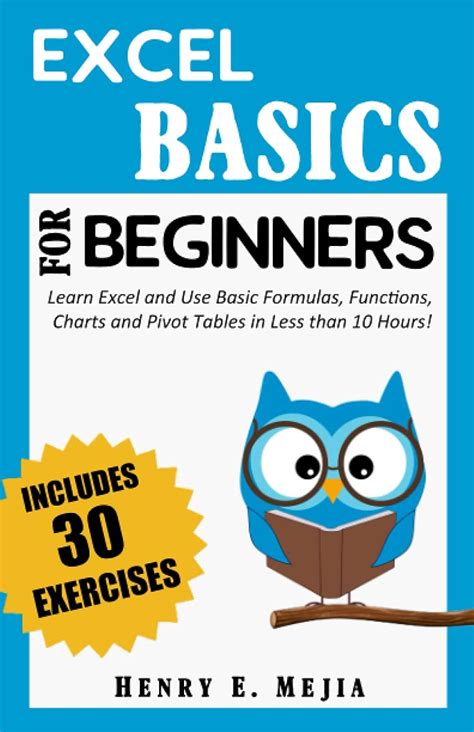 EXCEL BASICS FOR BEGINNERS Learn Excel And Use Basic Formulas Functions Charts And Pivot