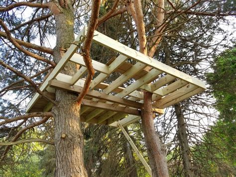 Tree Platform Diy At Carla Apgar Blog