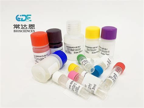 人甘油磷酸 O 酰基转移酶 Gnpat Elisa试剂盒 变异系数均小