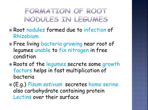 Nitrogen Fixation Pptx