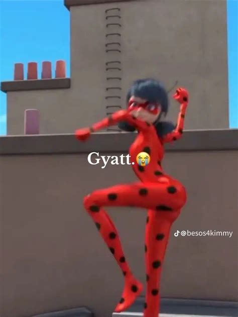 Ladybug Funny Some Funny Jokes Miraculous Ladybug Memes Miraculous