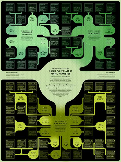 Infographic Flowchart Of Dangerous Viruses Recoil Offgrid