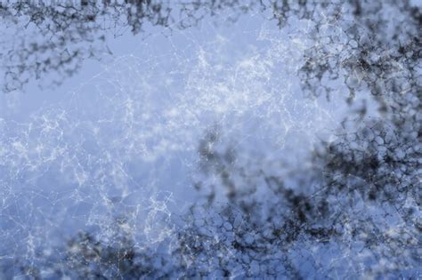 Premium Photo 3d Render Composition Based On Plexus Use Different