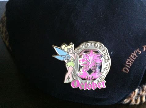 Tinkerbell Pin A Perfect T From Ira